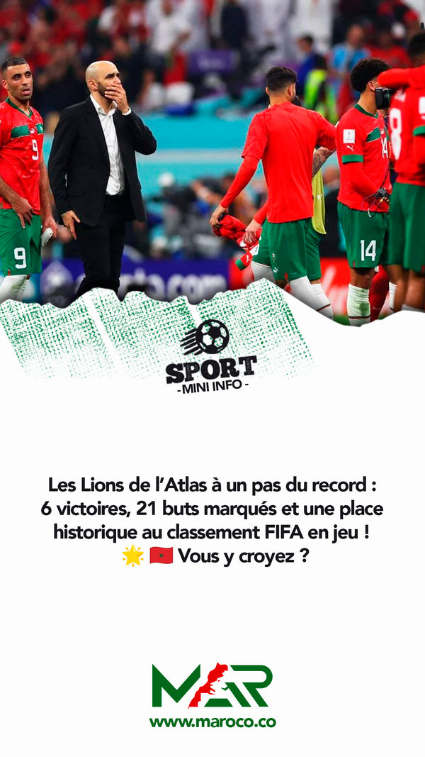 Basé en France, livraison internationale disponible.