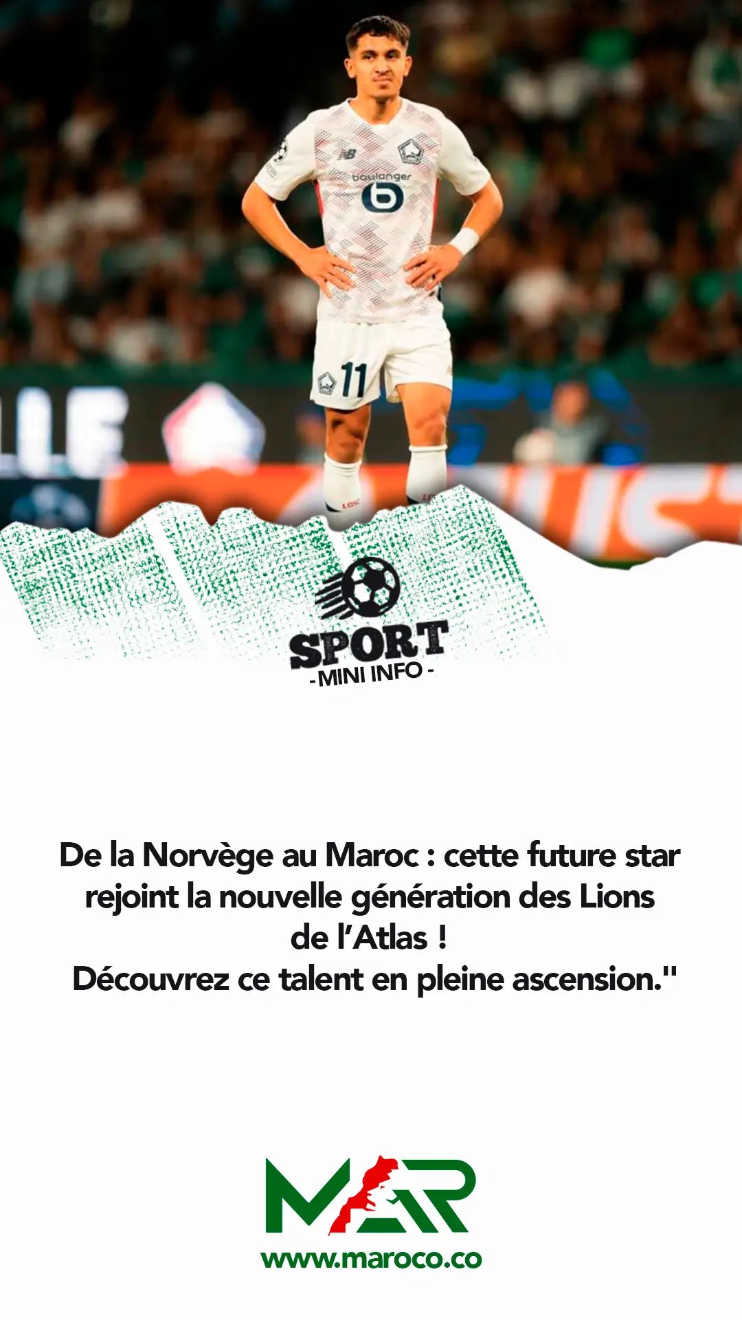 Le Phénomène Émergeant: de la Norvège à l’équipe